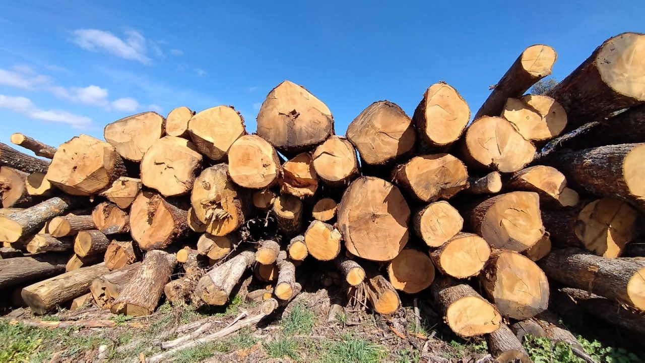 MADERAS CASTAÑO | MADERAS MATEOS